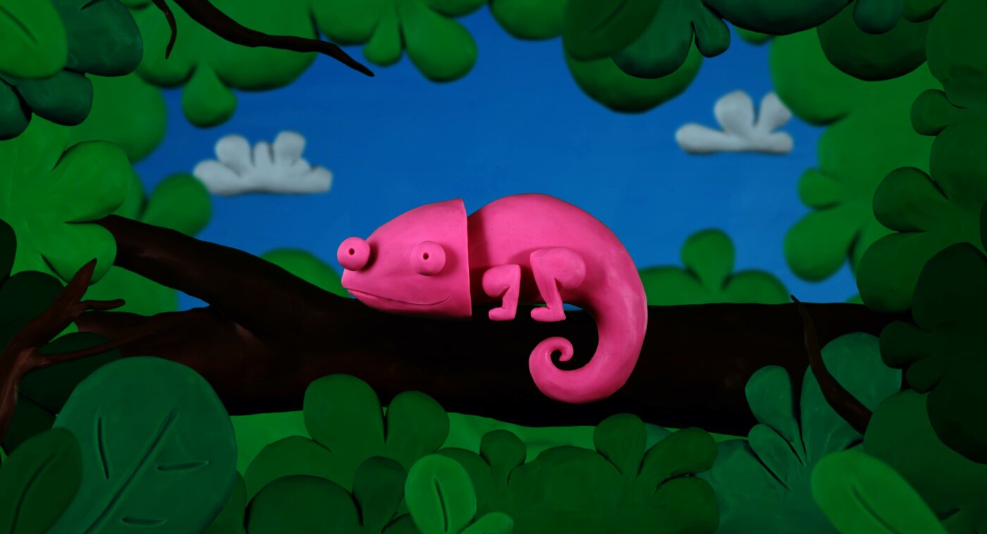 THE CHAMELEON - SND Films